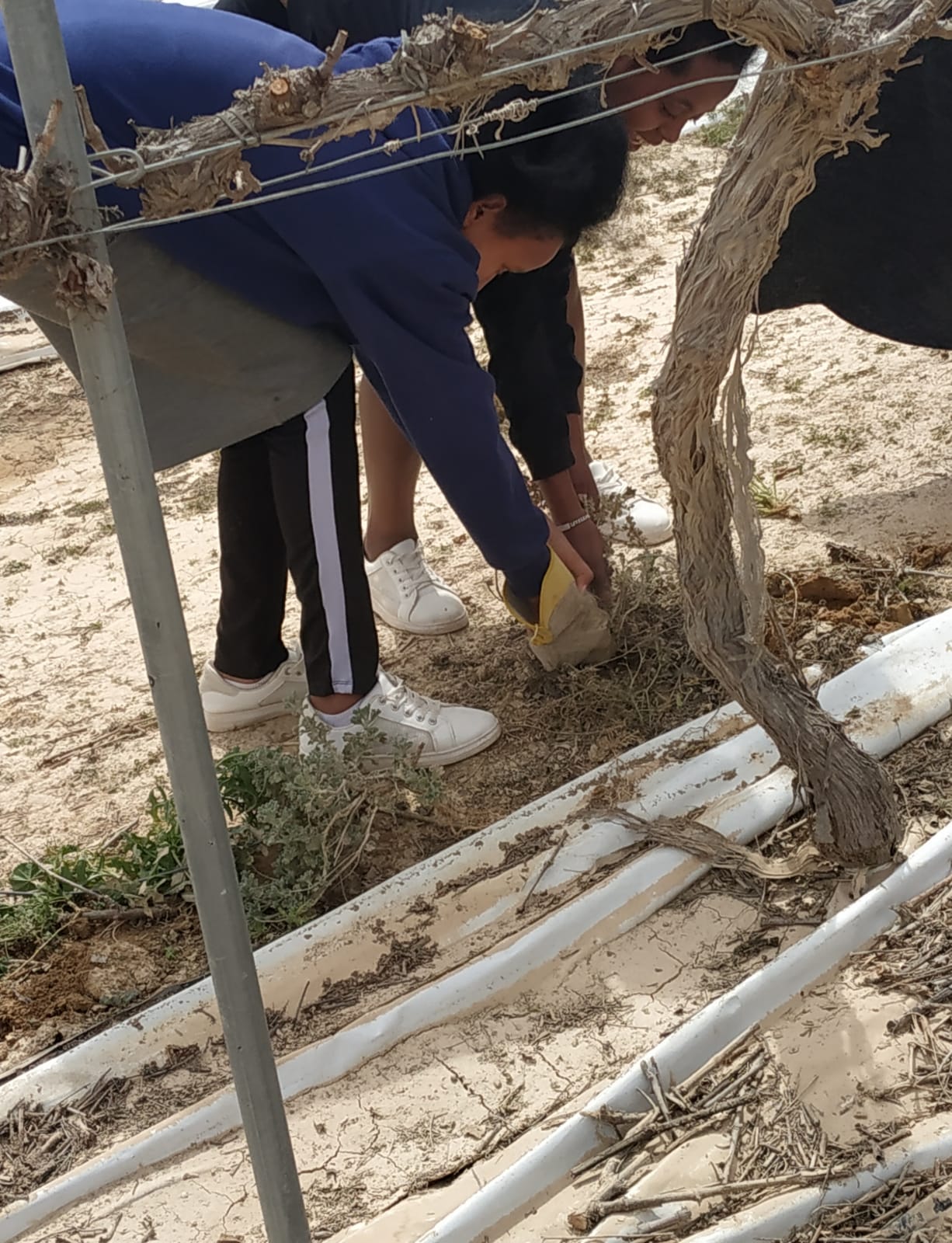 עוד טעימה מהטיול השנתי וגם סרטון – Ulpana Kfar Pines