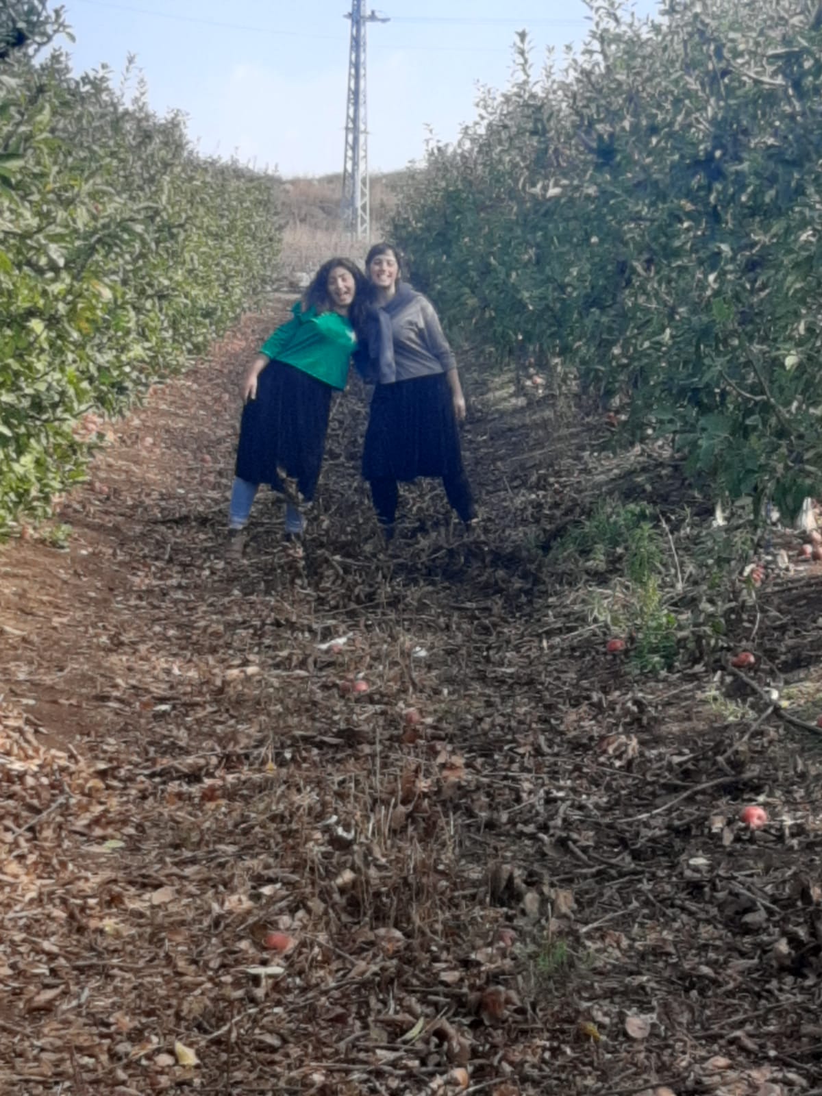 WhatsApp Image 2022-11-18 at 10.33.43 – Ulpana Kfar Pines